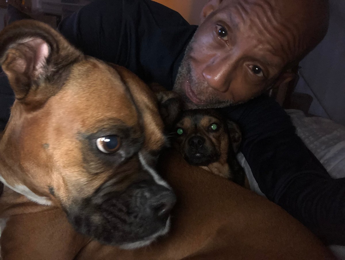 The World According to Dominic: Dogs Can Teach Us How to Restore or ...