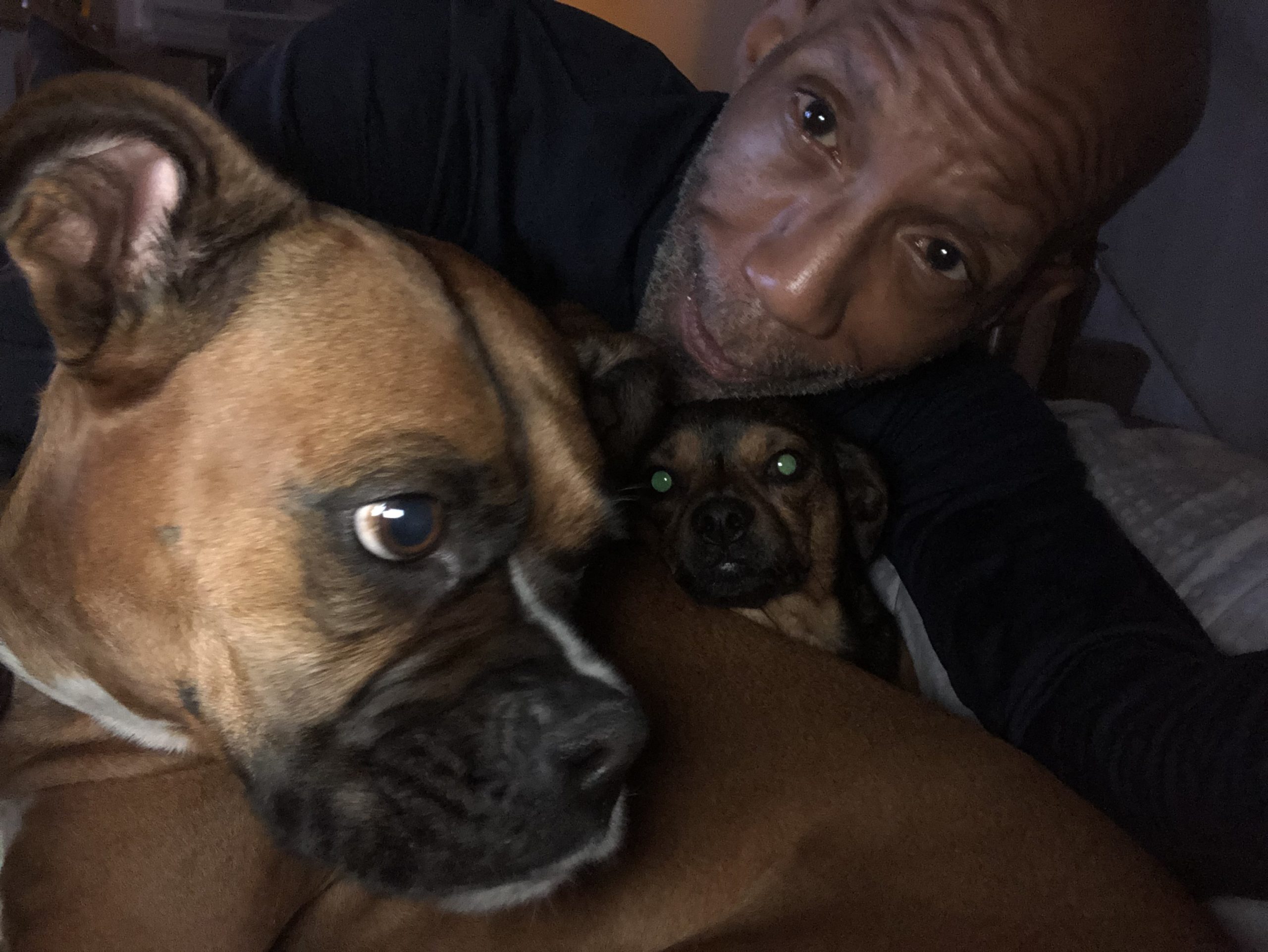 The World According to Dominic: Dogs Can Teach Us How to Restore or ...